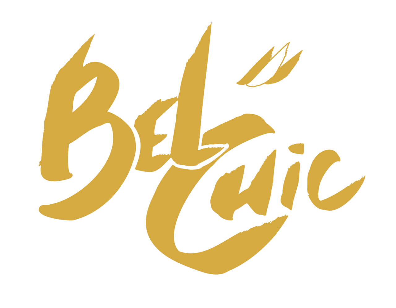 Renaissance Union Tubize Braine | We are RUTB